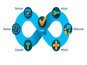 Lifecycle Advantage Overview