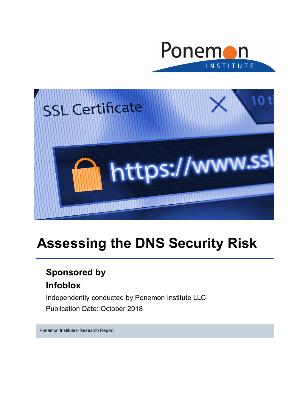 [eBook] DNS Security For Dummies