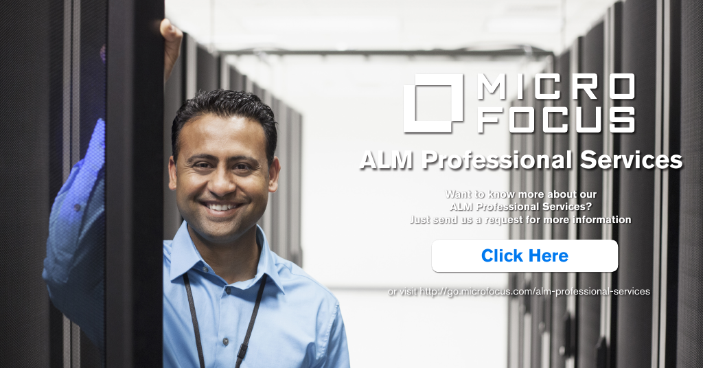 ALM Professional Services